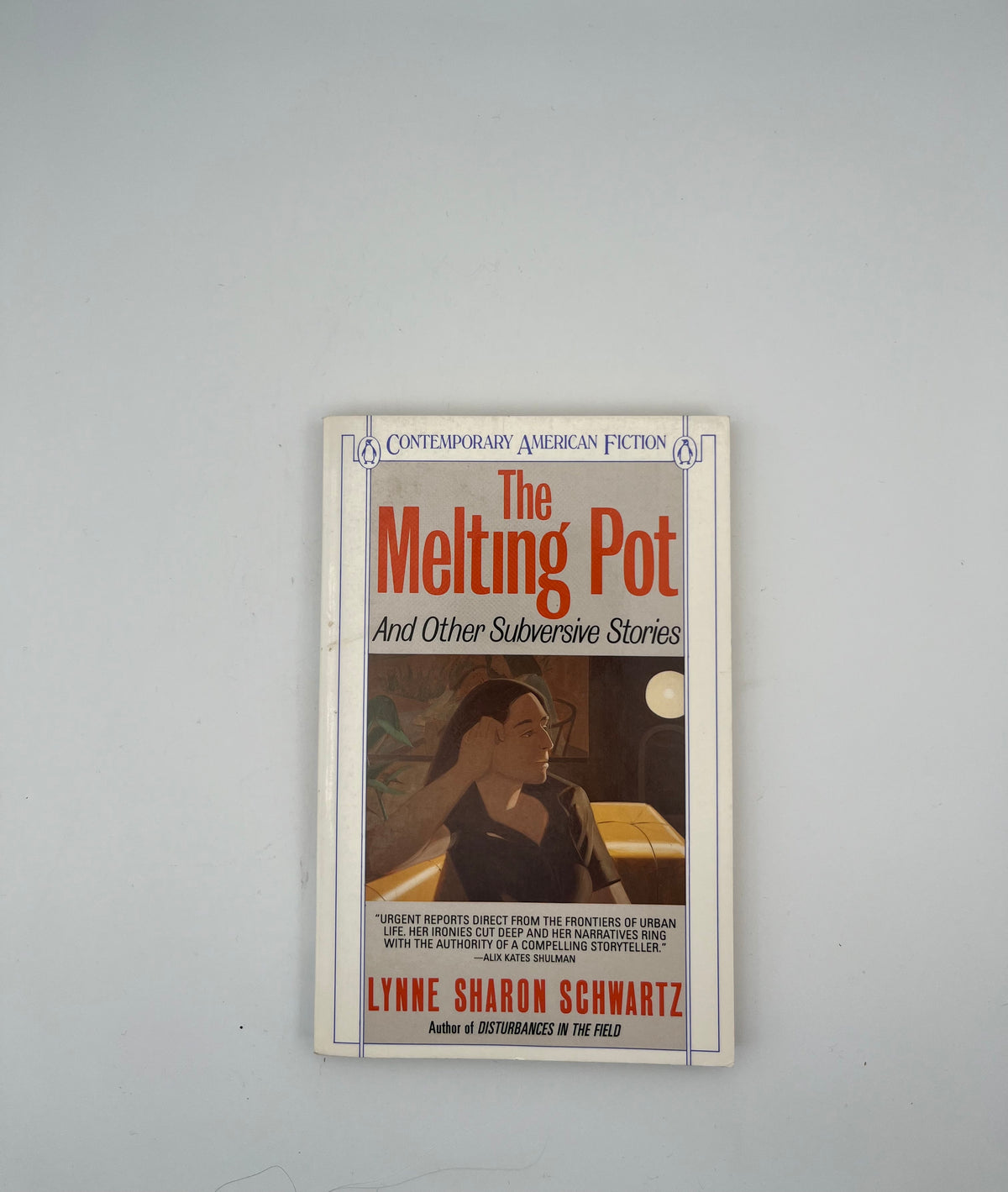 Melting Pot by Lynne Sharon Schwartz– Lightholder Books