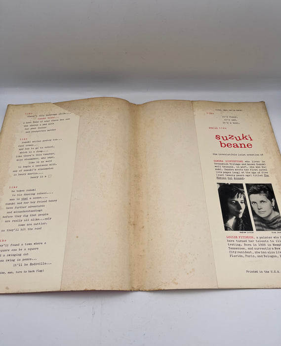 Suzuki Beane by Sandra Scoppettone– Lightholder Books